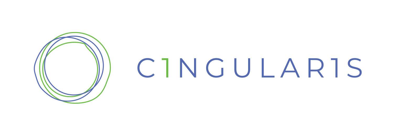 Custom AI Solutions with Soul | GEO, Voice AI, Chat | Cingularis - Gilbert AZ